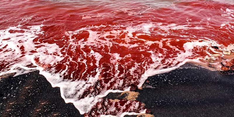 South of Iran Tour Package "Private" - 10 Days - Termeh Travel